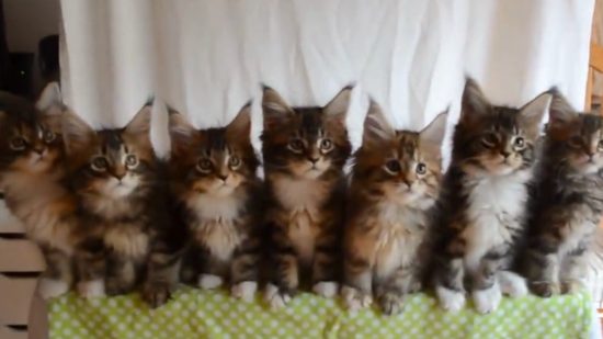 How To Use Custom Fonts In Power Apps - Matthew Devaney